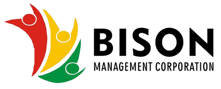 BISON Management Corporation | Grand Smart Holding Corporation